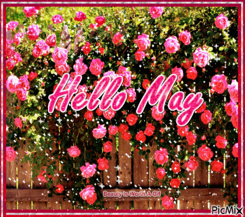 Hello May With Pink Rose Gifs Pictures, Photos, and Images for Facebook ...