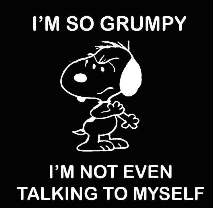 I'm So Grumpy, I'm Not Even Talking To Myself. Pictures, Photos, and ...
