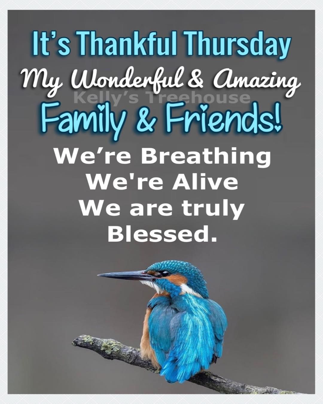 It's Thankful Thursday For Family & Friends Pictures, Photos, and ...