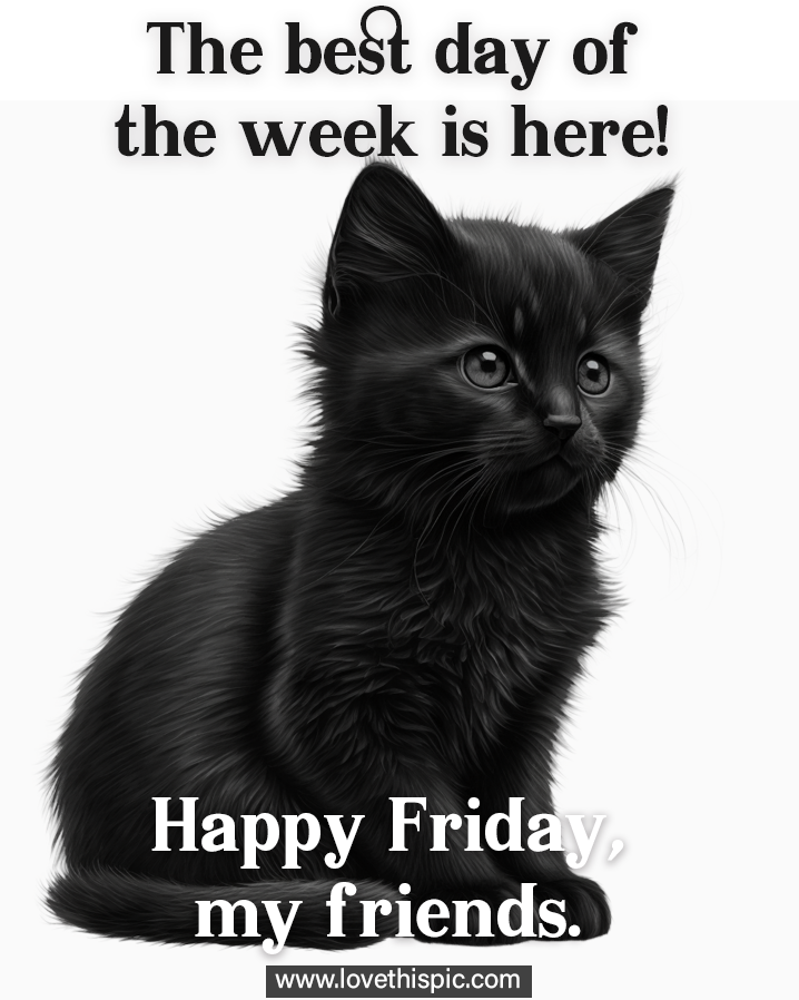 The Best Day Of The Week Is Here! Happy Friday, My Friends. Pictures ...