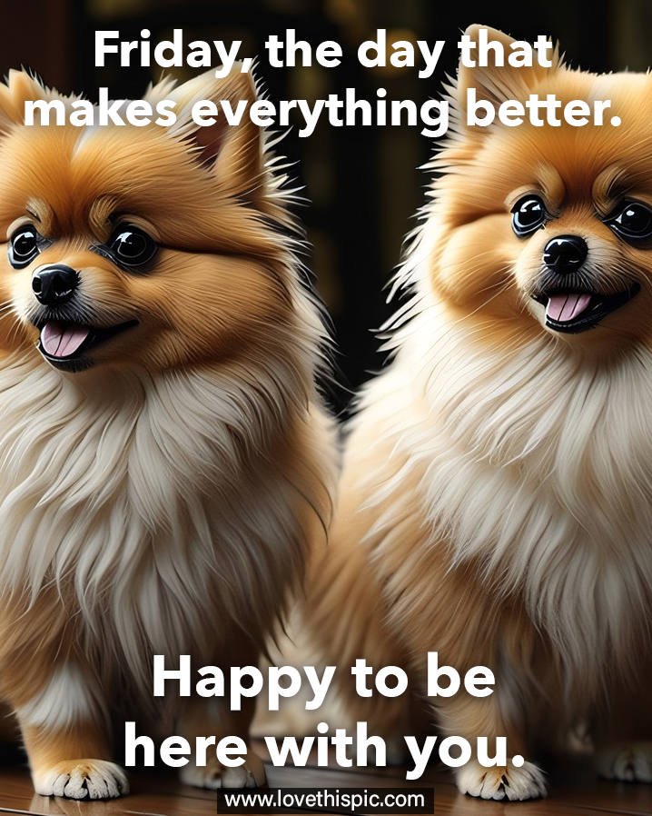 Friday, The Day That Makes Everything Better. Happy To Be Here With You ...