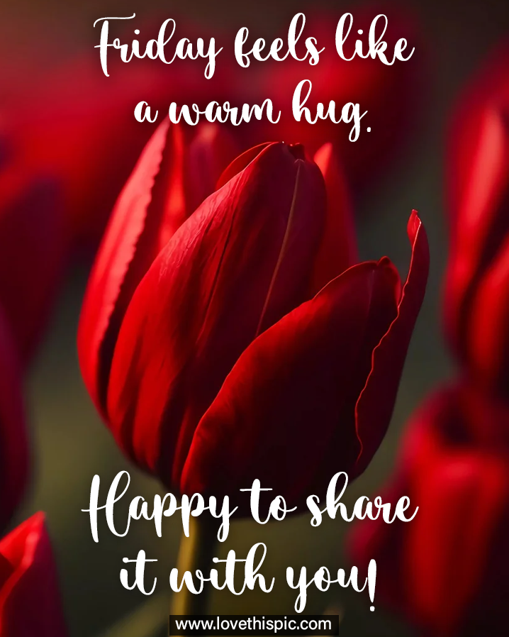 Friday Feels Like A Warm Hug. Happy To Share It With You! Pictures ...