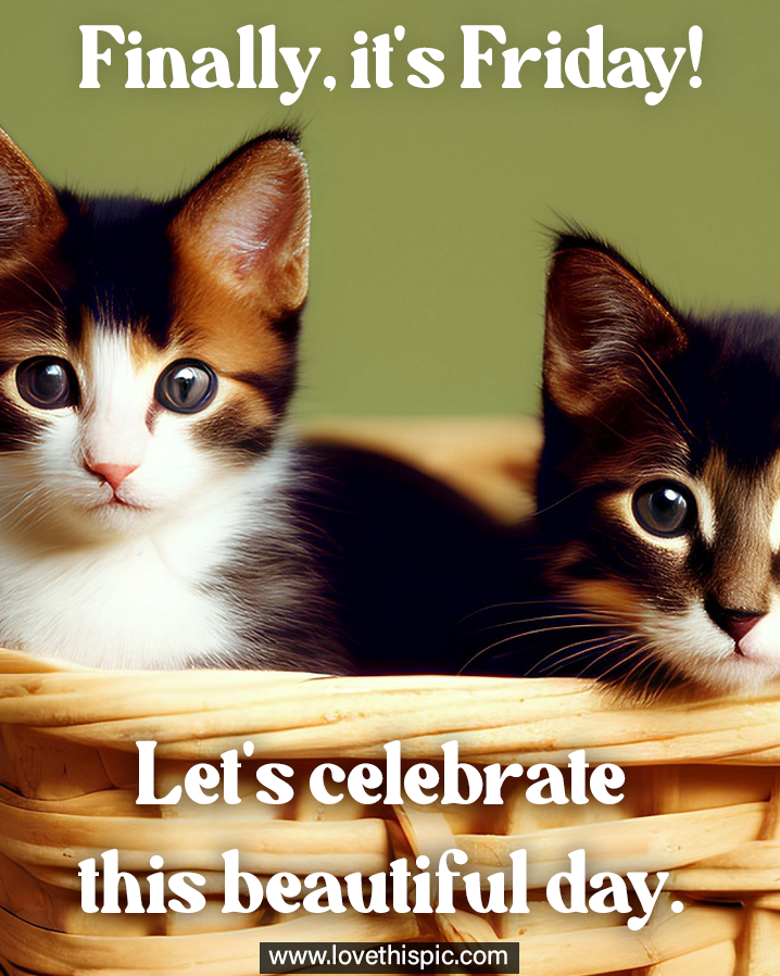 Finally, It's Friday! Let's Celebrate This Beautiful Day. Pictures ...