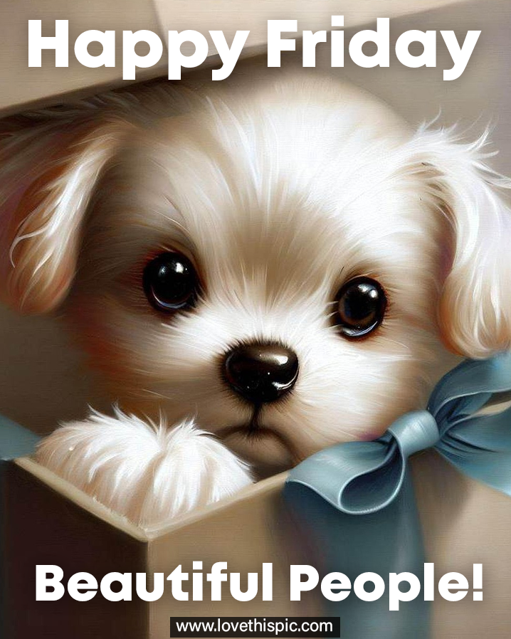 Puppy In Gift: Happy Friday Beautiful People Pictures, Photos, and ...