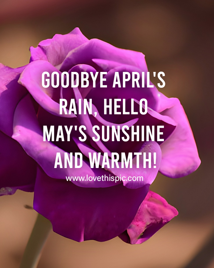 Goodbye April's Rain, Hello May's Sunshine And Warmth! Pictures, Photos ...