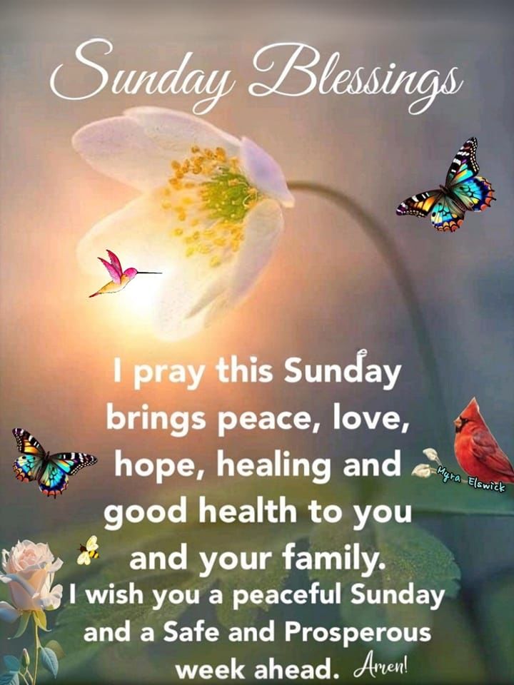 I Pray This Sunday Brings Peace, Love, Hope, Healing And Good Health To ...