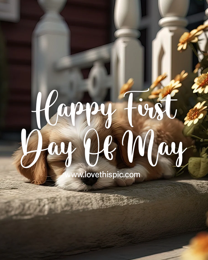 Sleeping Puppy - Happy First Day Of May Pictures, Photos, and Images ...