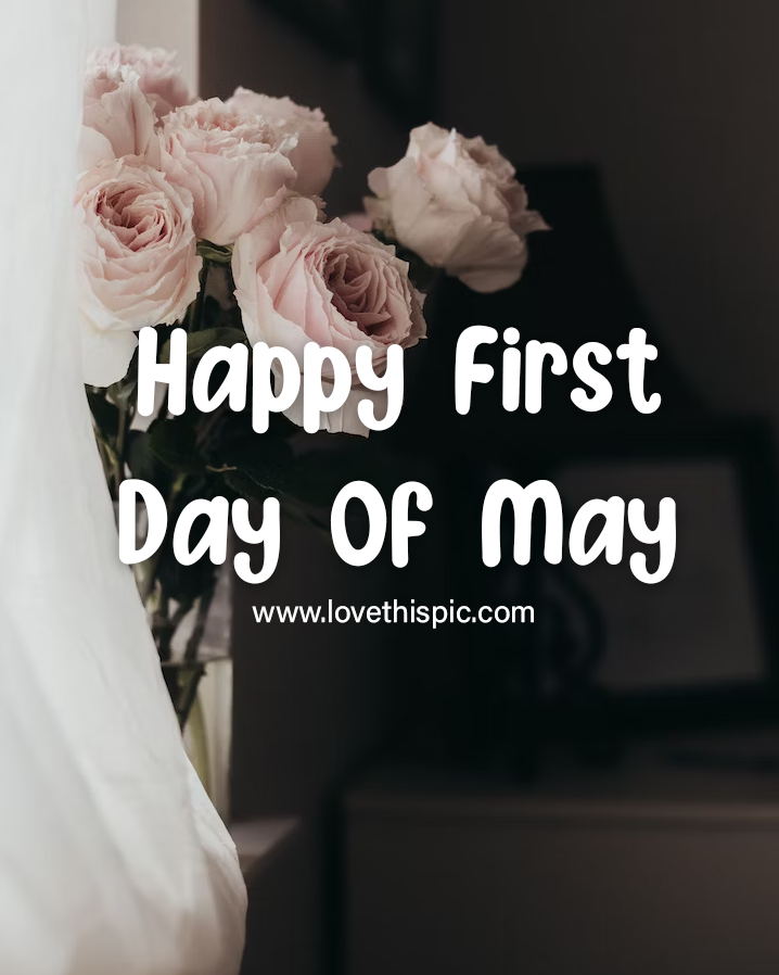Roses In Window - Happy First Day Of May Pictures, Photos, and Images ...