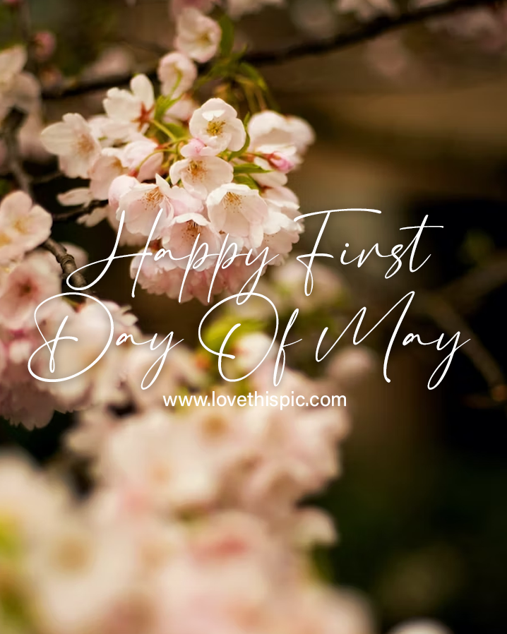 Happy First Day Of May With Cherry Blossoms Pictures, Photos, and ...