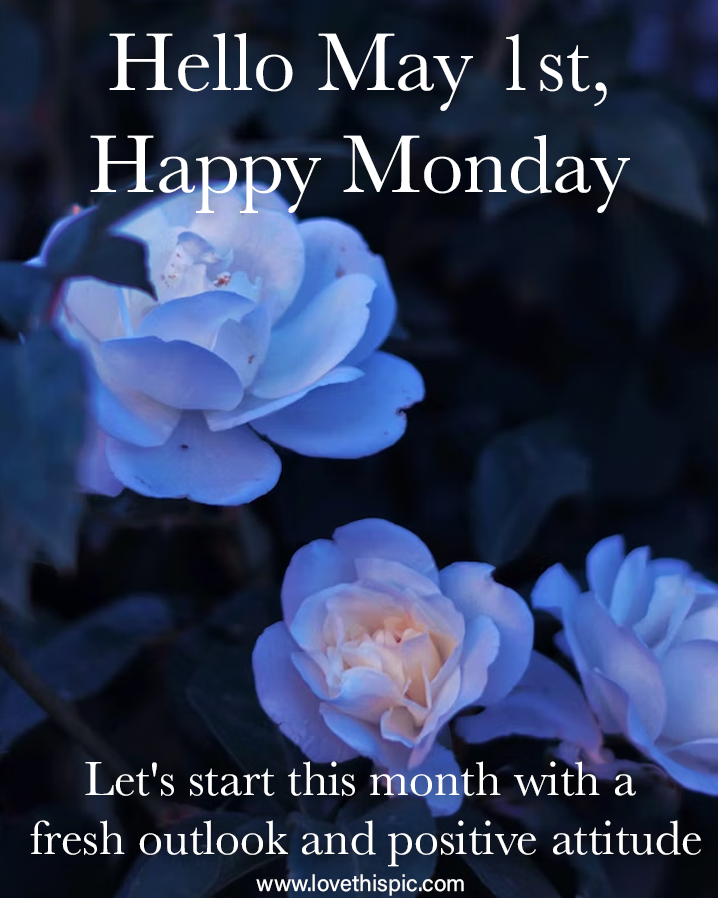 Hello May 1st, Happy Monday. Let's Start This Month With A Fresh ...