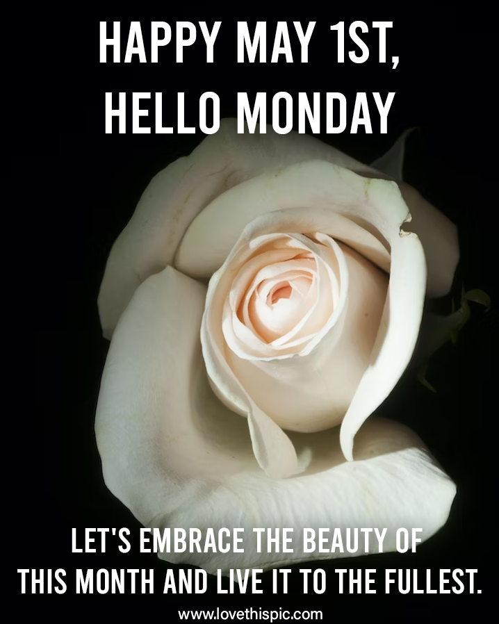 Happy May 1st & Hello Monday. Let's Embrace The Beauty Of This Month ...