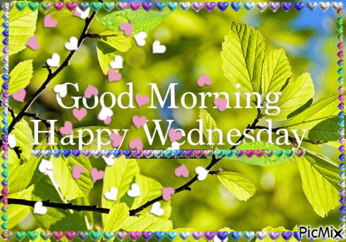 Good Morning, Happy Wednesday Pictures, Photos, and Images for Facebook ...