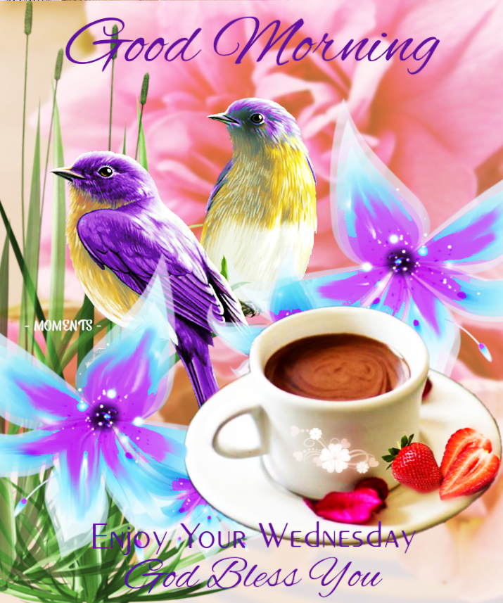 Vibrant Birds - Good Morning, Enjoy Your Wednesday Pictures, Photos ...