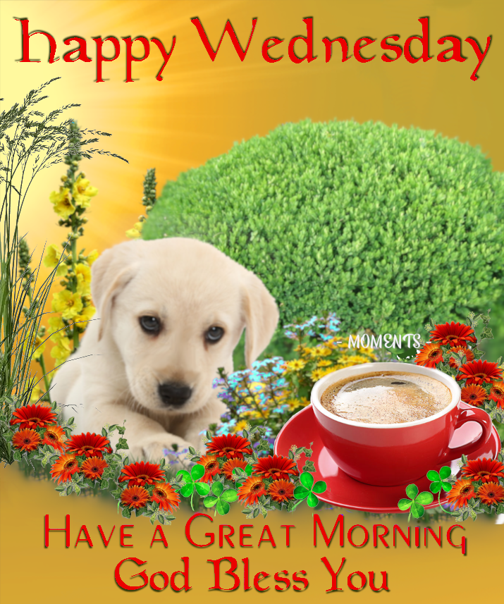 Have A Great Morning. Happy Wednesday Pictures, Photos, and Images for ...