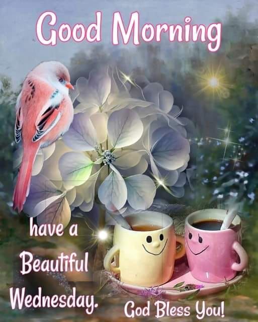 Beautiful Wednesday Wish With Bird And Coffee Pictures, Photos, and ...