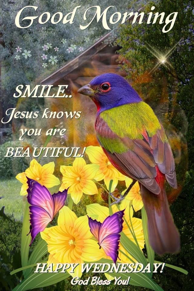 Smile Because Jesus Knows You Are Beautiful. Happy Wednesday & Good ...