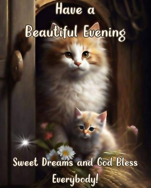 Have A Great Evening With Cat