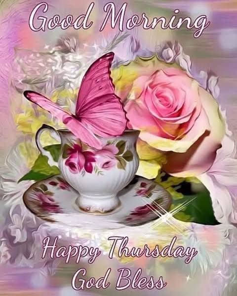 Pink Butterfly And Rose - Good Morning, Happy Thursday. God Bless ...