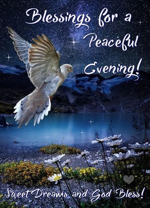 Blessings For A Peaceful Evening Pictures, Photos, and Images for ...