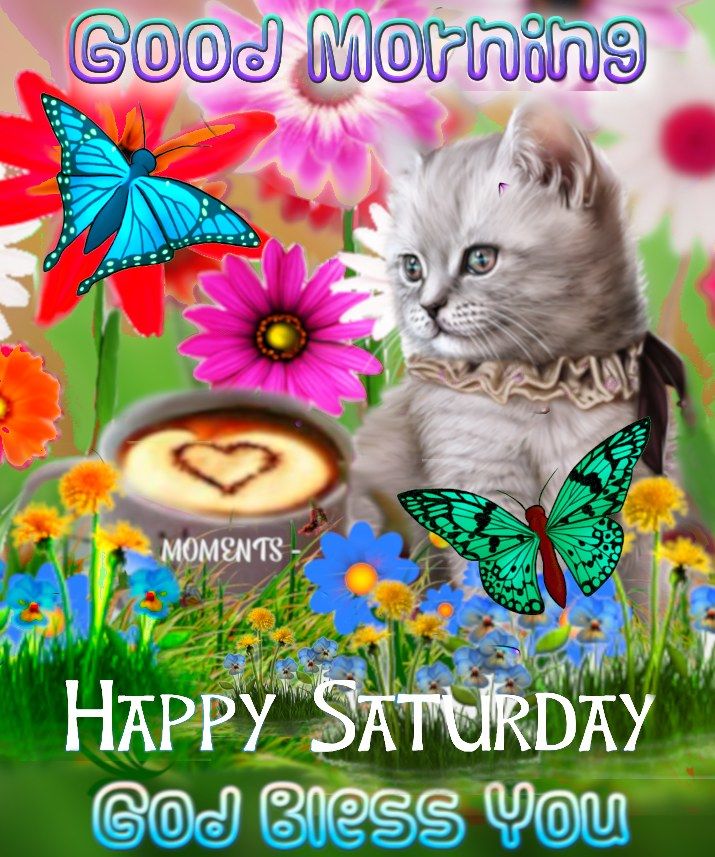 Good Morning - Happy Saturday - God Bless You Pictures, Photos, and ...