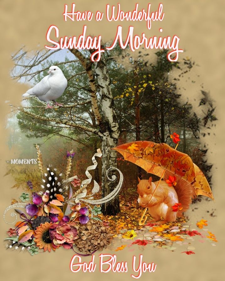 Wonderful Sunday Morning Pictures, Photos, and Images for Facebook ...