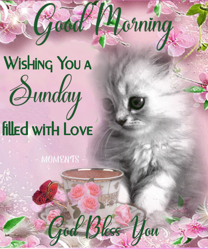 Sunday With Love: Good Morning Pictures, Photos, and Images for ...