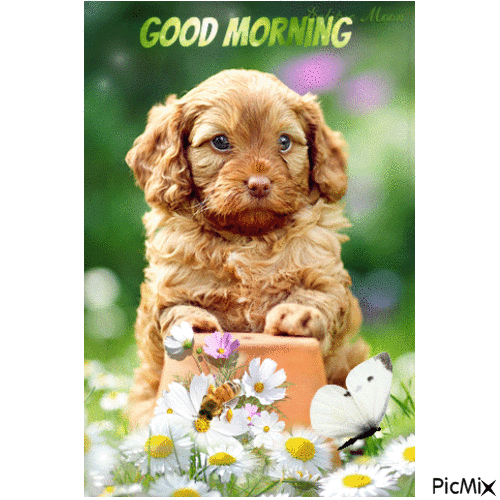 Getting Ready In The Morning Gif