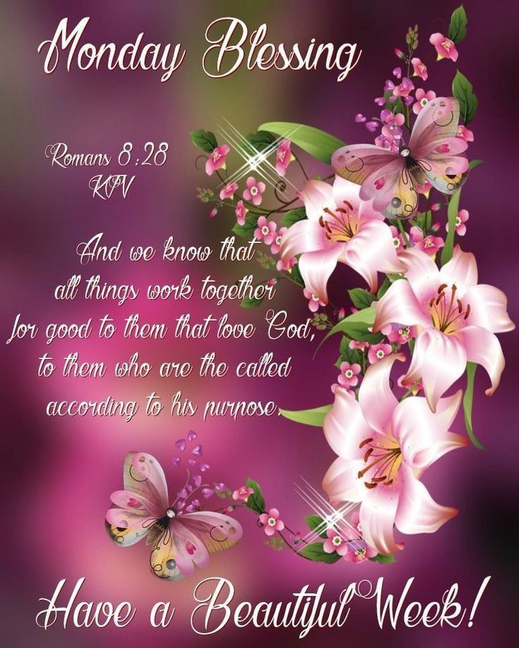 Monday Blessing Pictures, Photos, and Images for Facebook, Tumblr, Pinterest, and Twitter