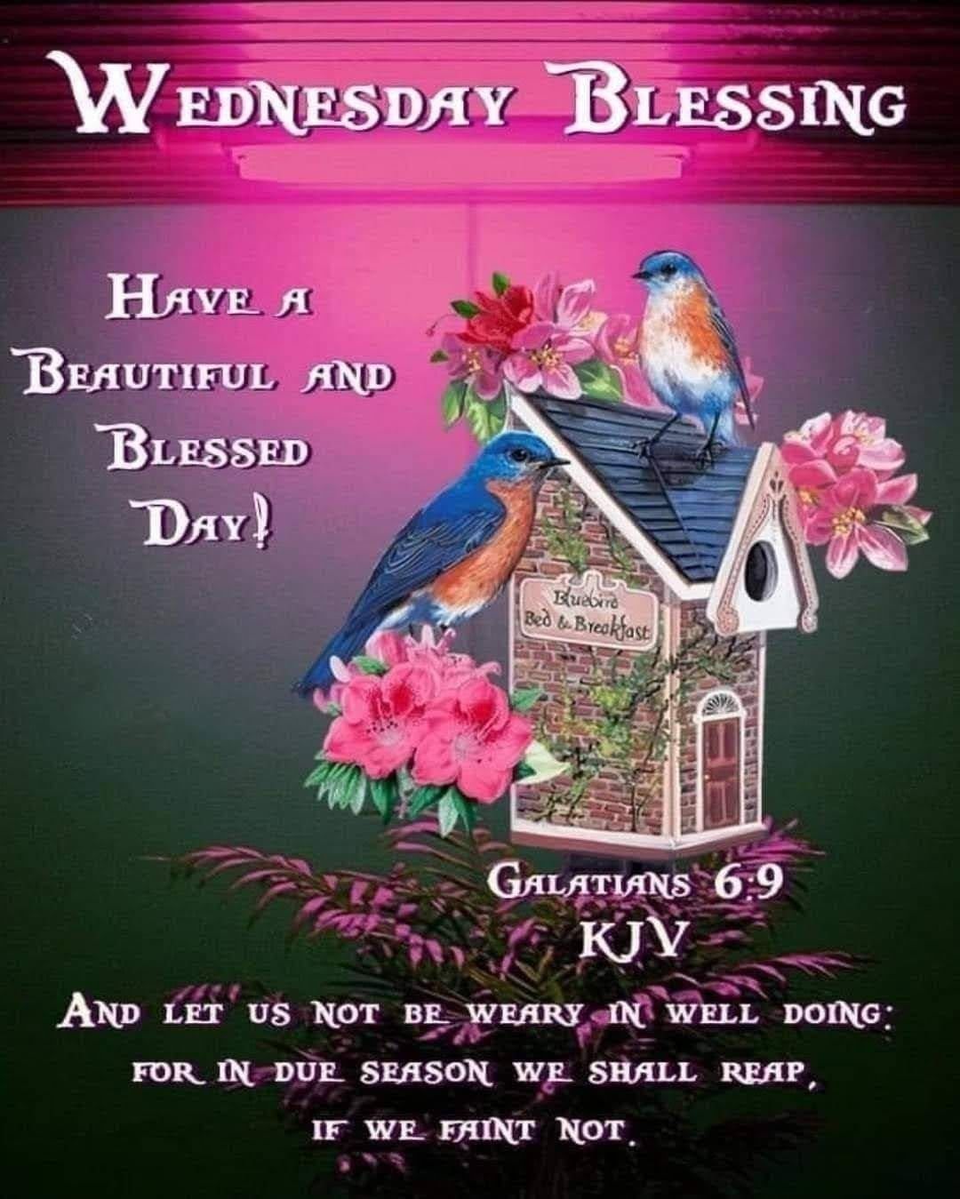 Beautiful Wednesday Blessing With Birds Pictures, Photos, and Images ...