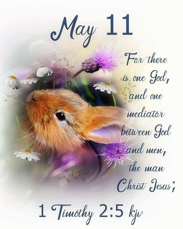 May 11 Pictures, Photos, and Images for Facebook, Tumblr, Pinterest ...