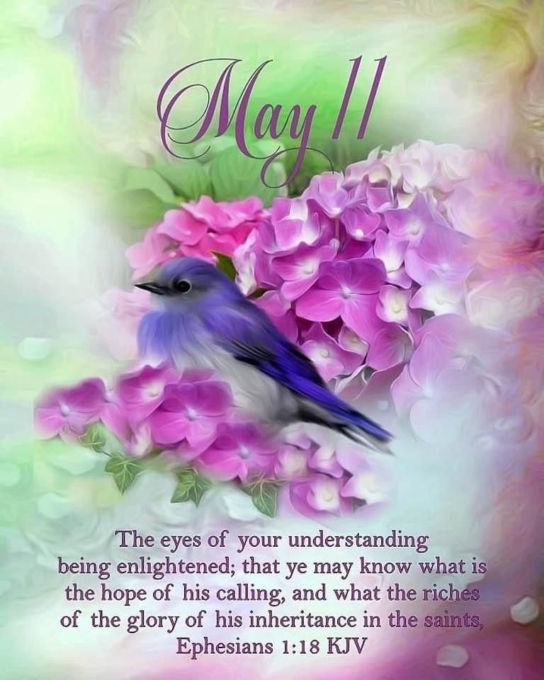 May 11 Blessings Pictures, Photos, and Images for Facebook, Tumblr ...