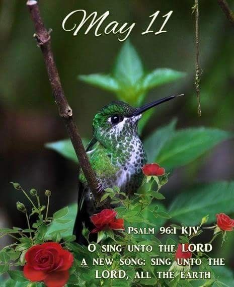 May 11 Psalm 96:1 Message Pictures, Photos, and Images for Facebook ...