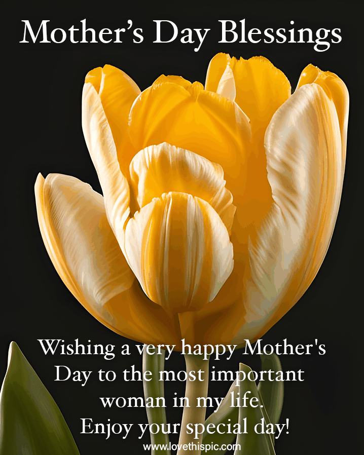 Wishing A Very Happy Mother's Day To The Most Important Woman In My ...