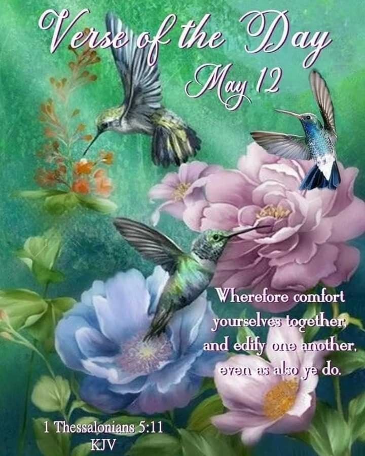 Verse Of The Day For May 12 Pictures, Photos, and Images for Facebook ...