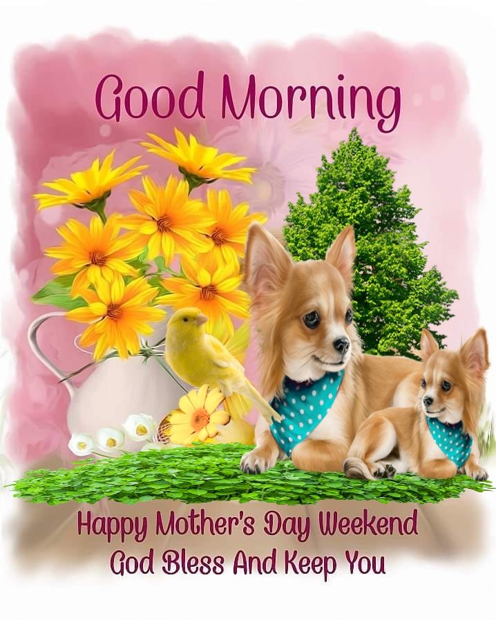 Good Morning, Mother's Day Weekend Pictures, Photos, and Images for ...