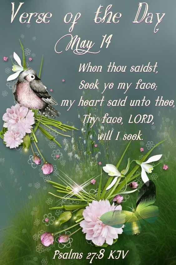 May 14 - Verse Of The Day Pictures, Photos, and Images for Facebook ...