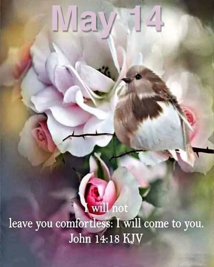 May 14 Scripture (John 14:18 KJV) Pictures, Photos, and Images for ...
