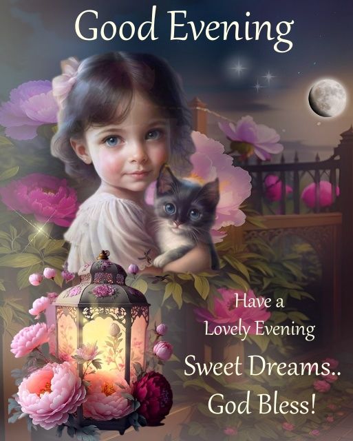 Girl & Kitten Good Evening Quote Pictures, Photos, and Images for ...