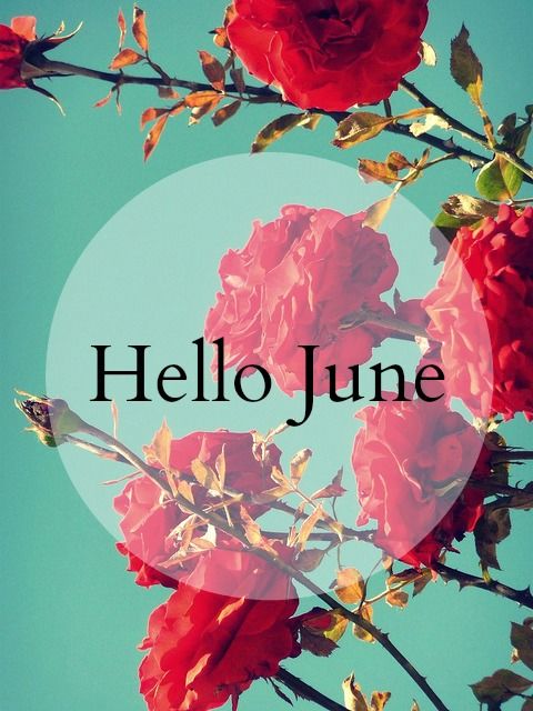 Red Peony Hello June Quote Pictures, Photos, and Images for Facebook ...