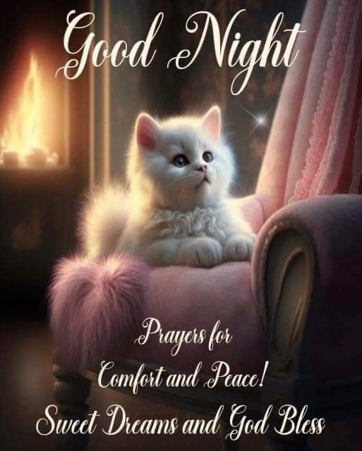 Prayers For Comfort And Peace: Good Night Pictures, Photos, and Images ...