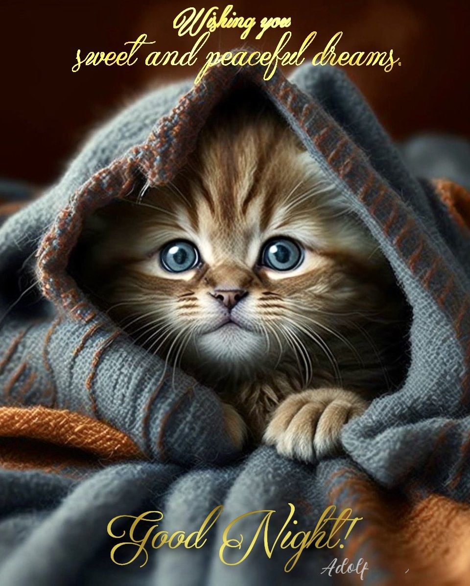 Wishing You Sweet And Peaceful Dreams Pictures, Photos, and Images for ...