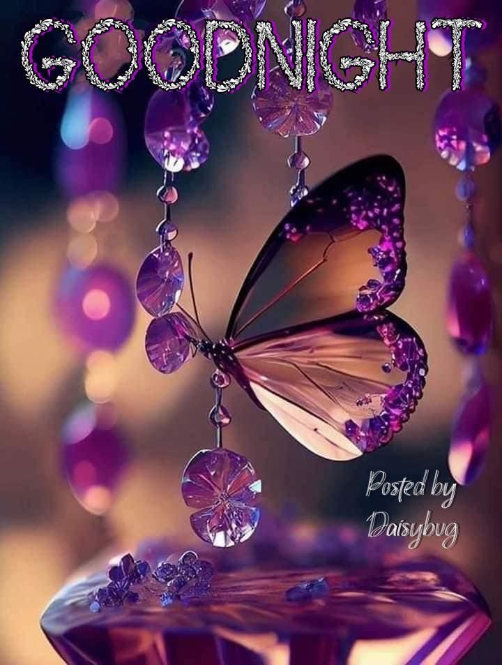 Crystal Butterfly Good Night Quote Pictures, Photos, and Images for ...