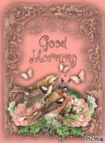 Good Morning Singing Birds Gif Pictures, Photos, and Images for ...