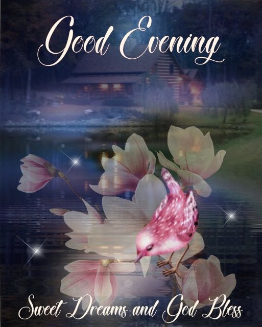 Good Evening Blessing With Pink Flowers And Bird Pictures, Photos, and ...