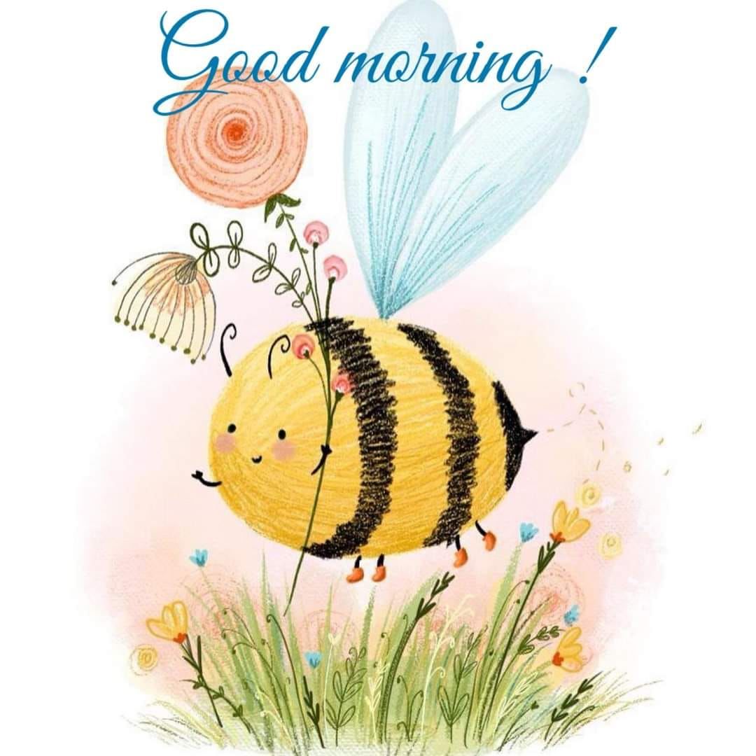 Bumblebee Good Morning Quote Pictures, Photos, and Images for Facebook ...
