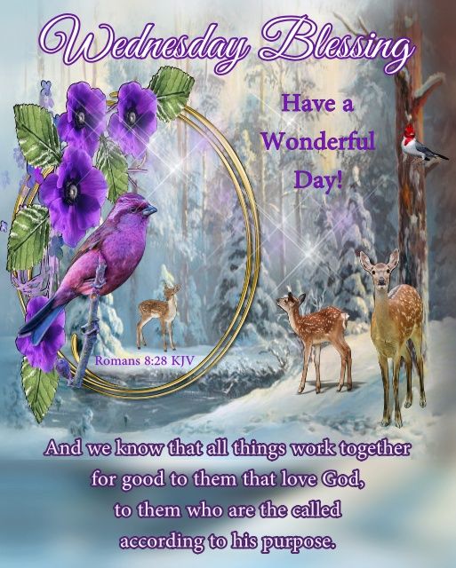 Beautiful Nature - Wednesday Blessing Pictures, Photos, and Images for ...