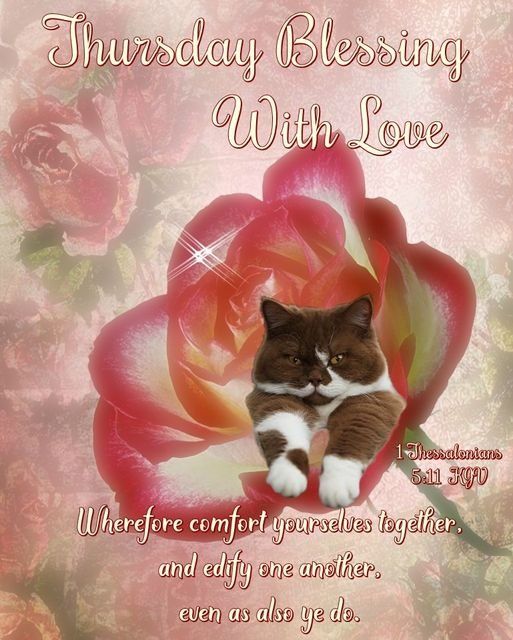 Thursday Blessing With Love Pictures, Photos, and Images for Facebook ...