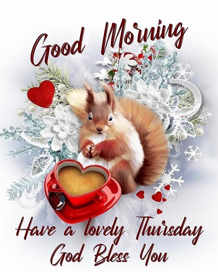Lovely Thursday, Good Morning Pictures, Photos, and Images for Facebook ...
