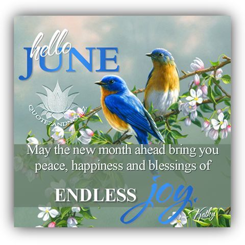Hello June Inspirational Quote Pictures, Photos, and Images for ...