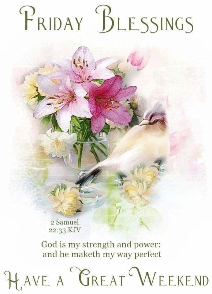 Gorgeous Flowers & Bird - Friday Blessings, Have A Great Weekend ...